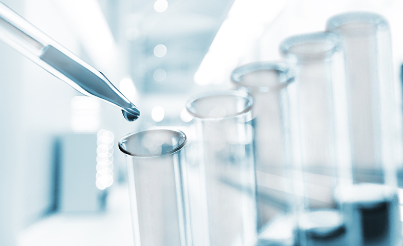 Folio rūgštis | Vitaminas B9 | Tyrimai | Hila