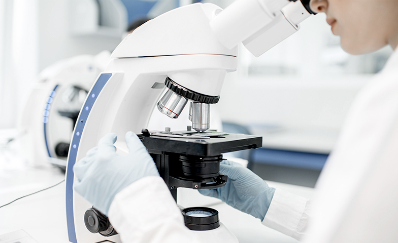 Magnis (Mg) | Magnio tyrimas | Hila